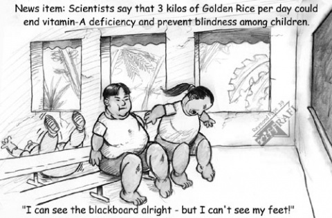 Golden Rice "benefits" | ETC Group