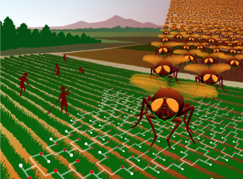 Over 200 Global Food Movement Leaders and Organizations Reject "Gene ...