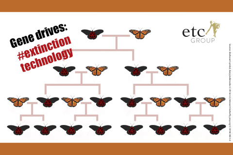 Driven to Extinction | ETC Group